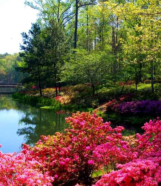 georgia ultimate unforgettable spots ftr