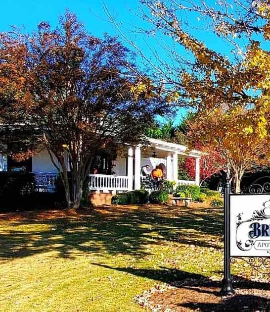 georgia unique brunch experience ftr