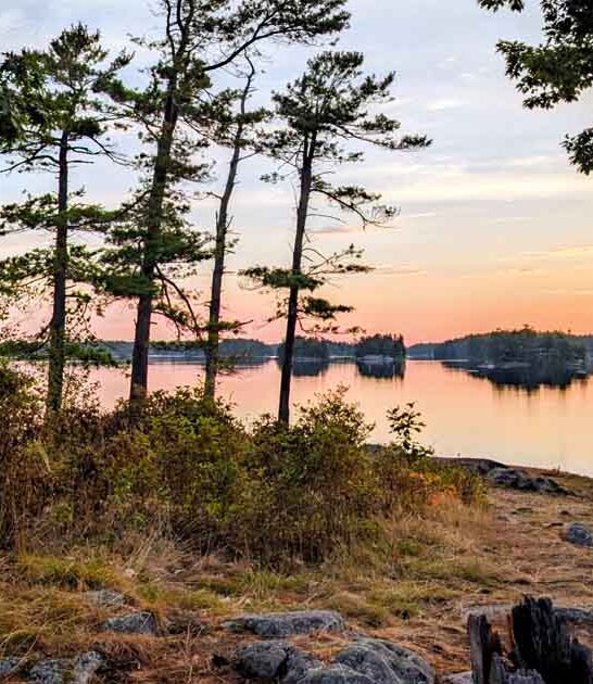 getaway new york park ftr