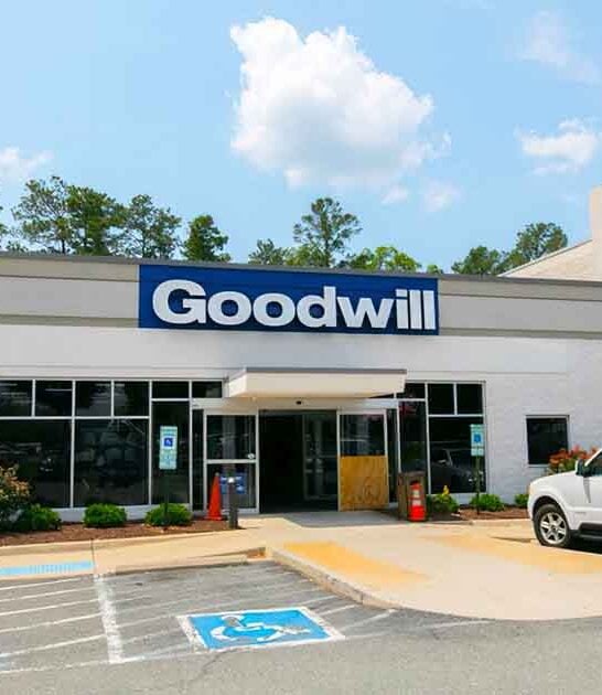 giant thrift stores virginia ftr