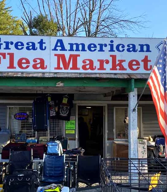 gigantic flea missouri expect ftr