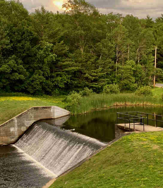 gorgeous new york park ftr