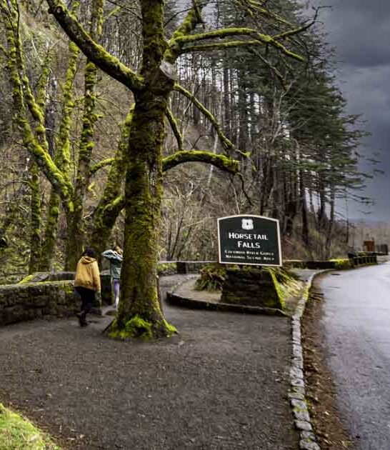 gorgeous roads oregon nonstop ftr