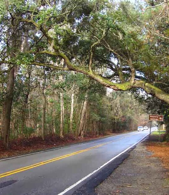gorgeous roads south carolina ftr