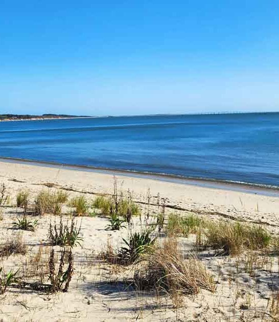 gorgeous virginia state park ftr