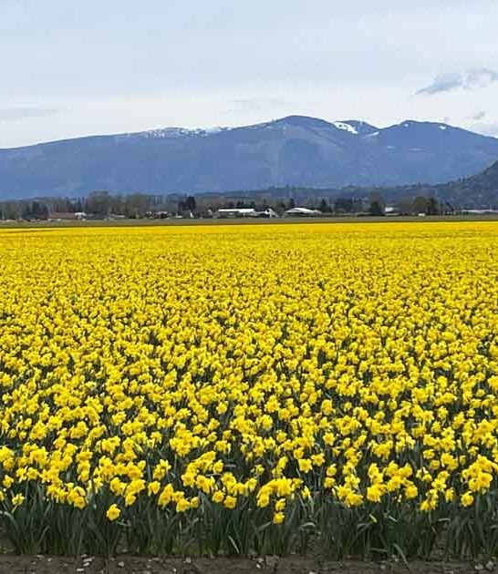 10 Incredible Things To Do In Washington That Even Lifelong Residents Haven&rsquo;t Discovered Yet