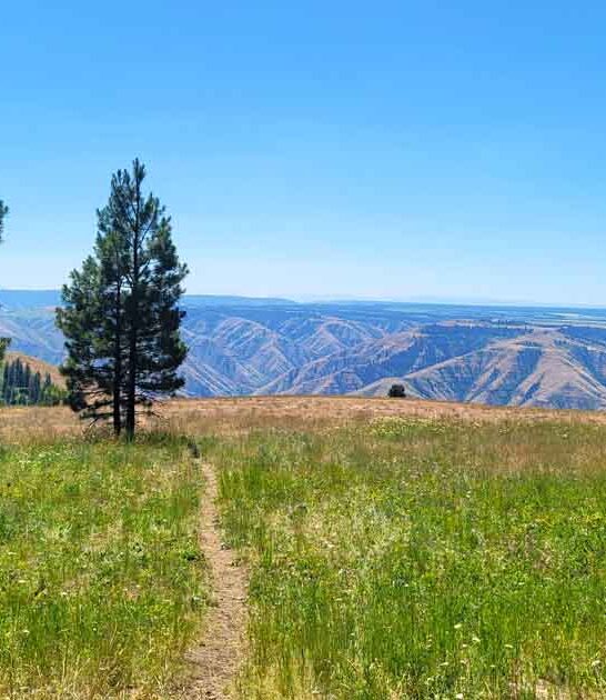 gorgeous washington state park ftr