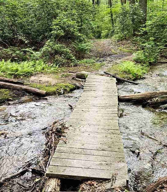 grand stone staircase maryland ftr