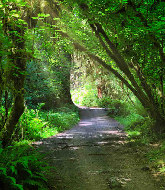 hidden enchanting places washington ftr