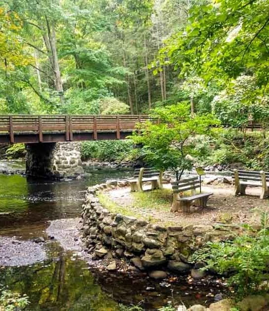 hidden new jersey park ftr