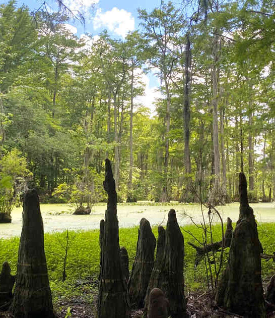hidden north carolina park ftr