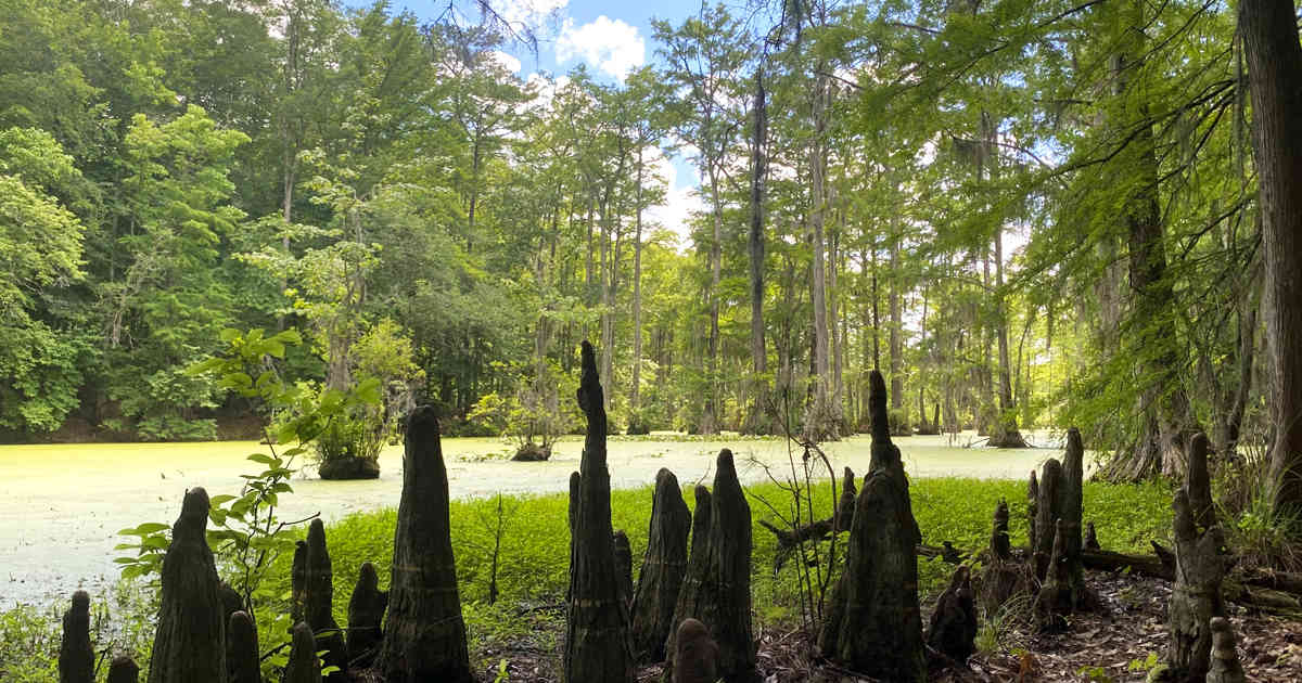 This Hidden North Carolina State Park Is The Crowd-Free Paradise You've