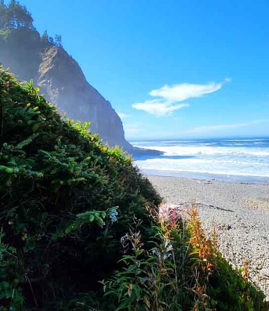 hidden oregon beach life ftr