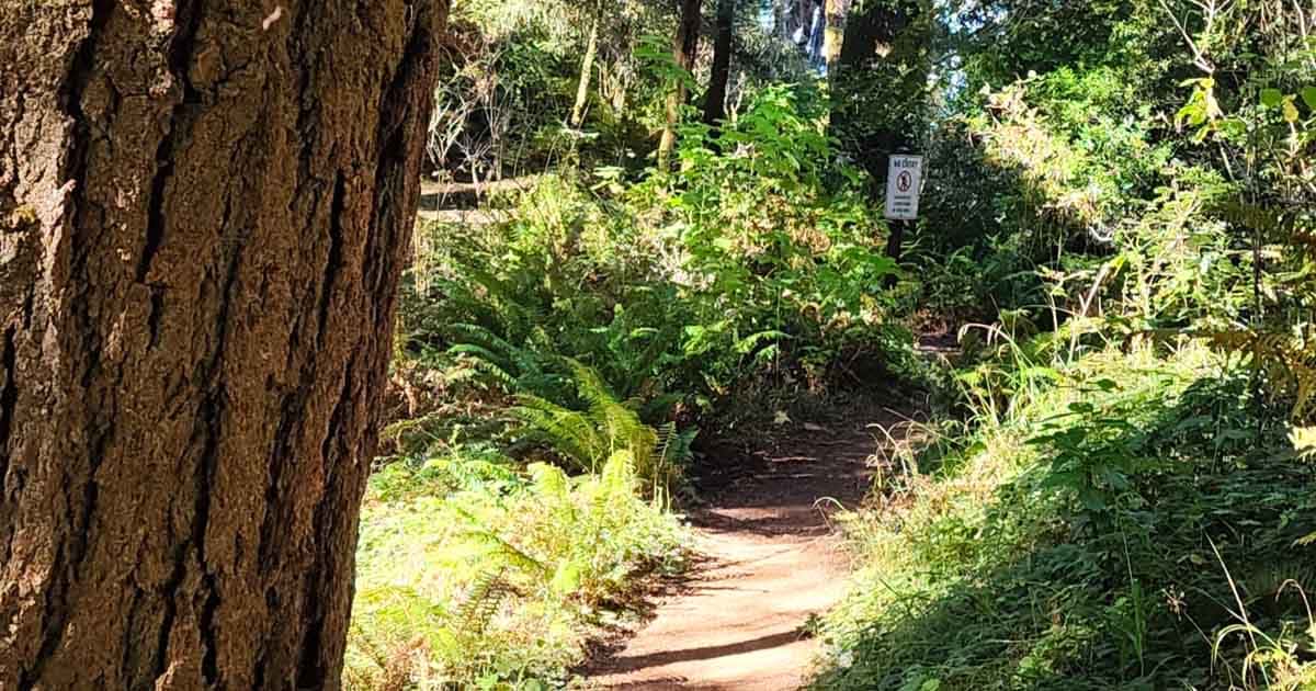This Hidden Oregon Trail Leads To One Of The Most Stunning Ocean Views ...