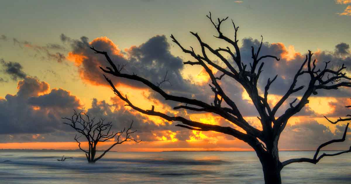 7 Hidden Gems In South Carolina That Will Stop You Dead In Your Tracks