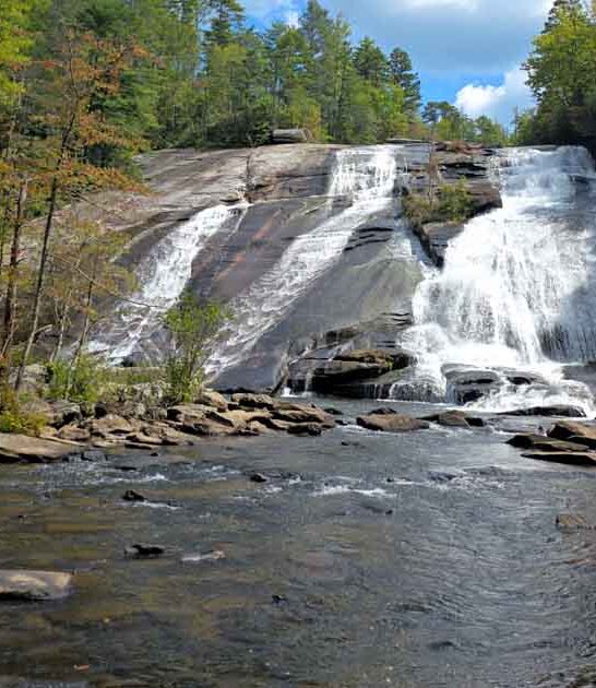 hike north carolina forest ftr