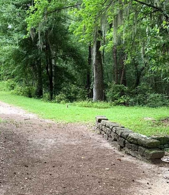 hike sandhills south carolina ftr