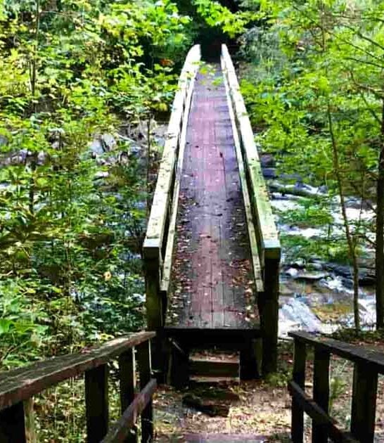 hike states south carolina ftr