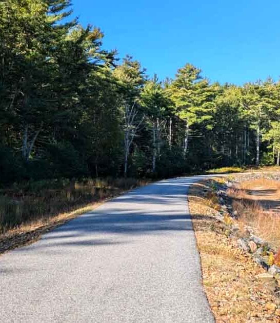 hiker easy connecticut trails ftr
