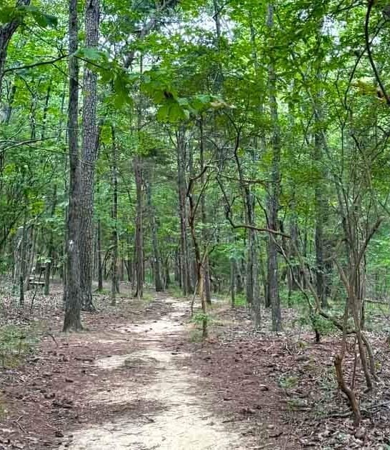 hiking mountain trail alabama ftr