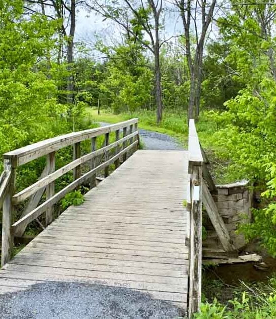 hiking trails park virginia ftr