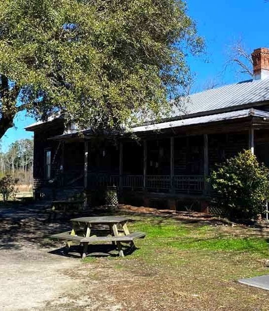 iconic bbq south carolina ftr