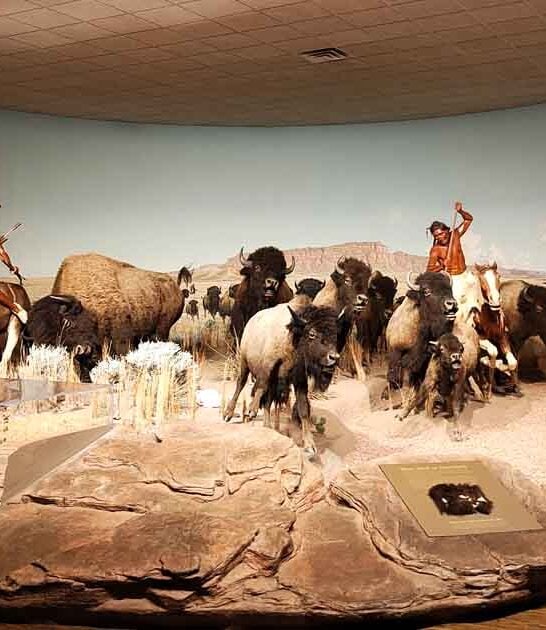 iconic history museum wisconsin ftr