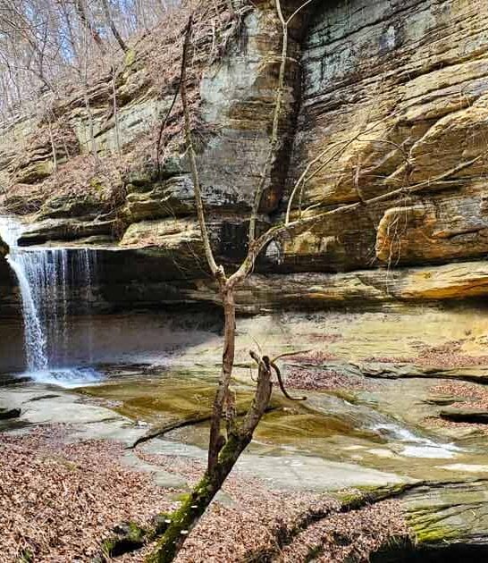 illinois affordable road trips ftr