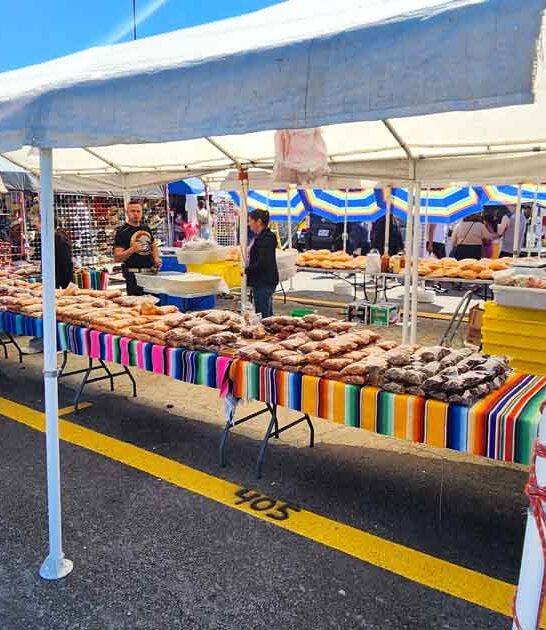 illinois gigantic swap meet ftr