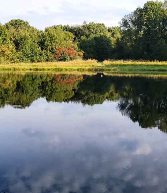 illinois gorgeous secret park ftr