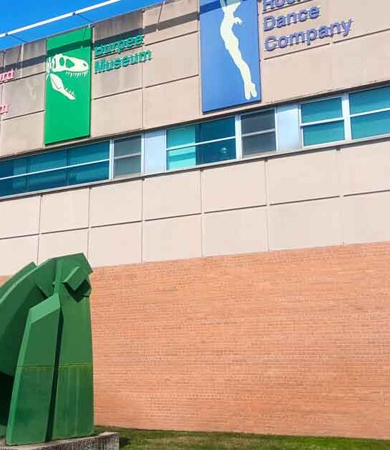 illinois hidden play paradise ftr