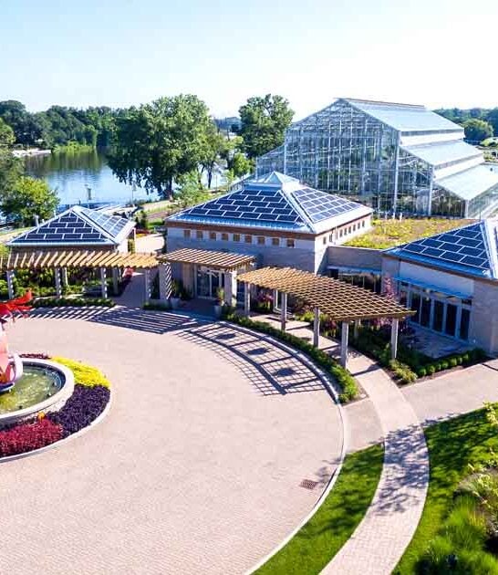 illinois never tried things ftr