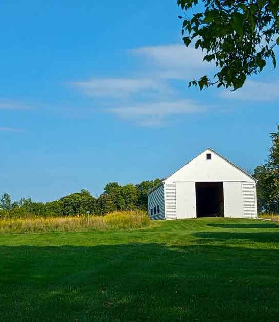 illinois park epic summer ftr