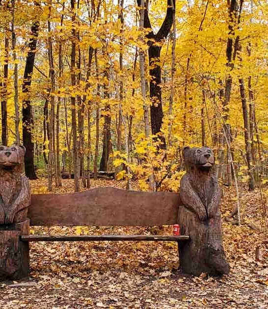 illinois park summer outing ftr