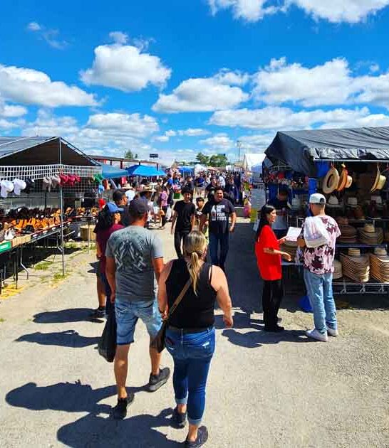 illinois savvy swap meet ftr