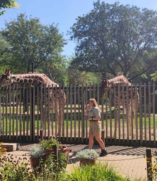 illinois zoo childhood memories ftr