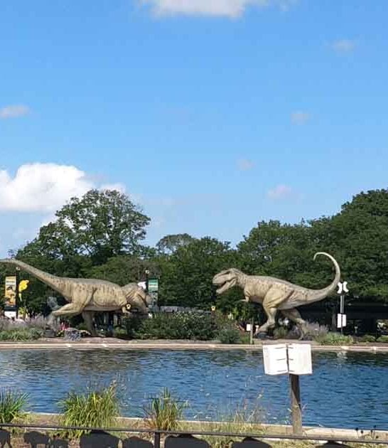 illinois zoo special memories ftr