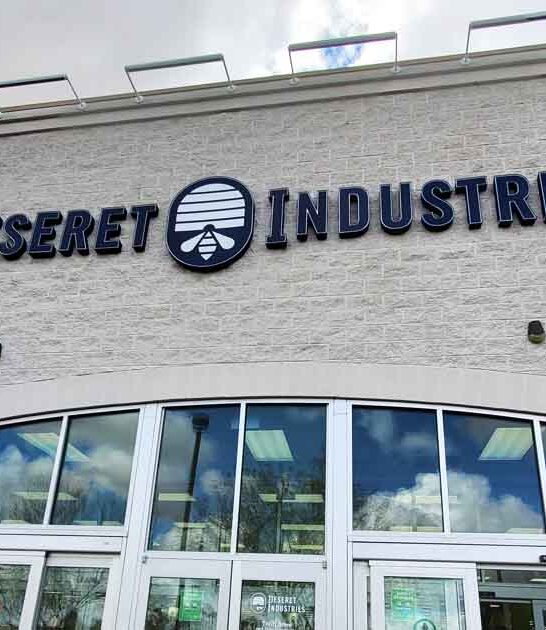 impossibly large arizona thrift ftr