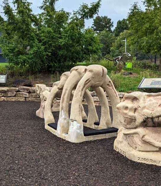 incredible activities maryland discover ftr