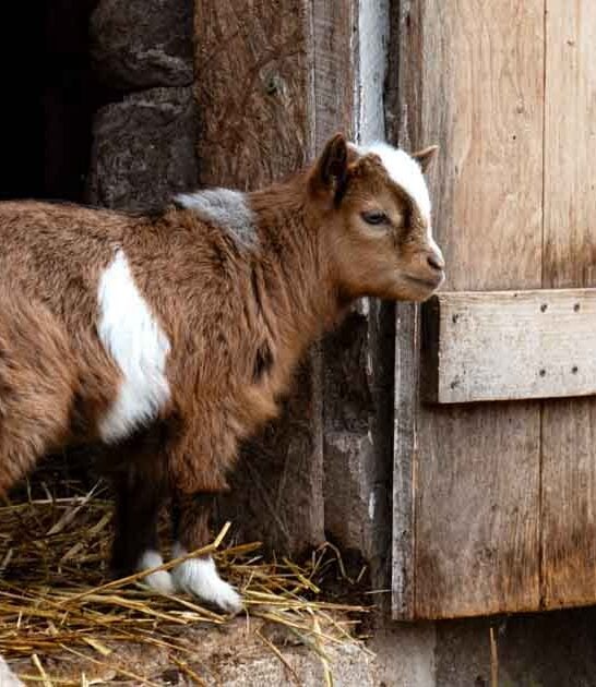 incredible activities pennsylvania discover ftr