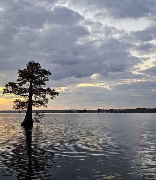 incredible hidden gems texas ftr