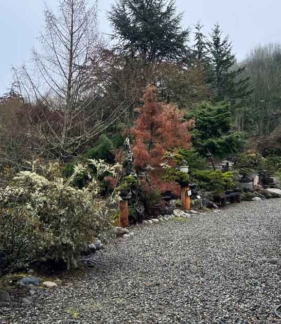 incredible hidden gems washington ftr