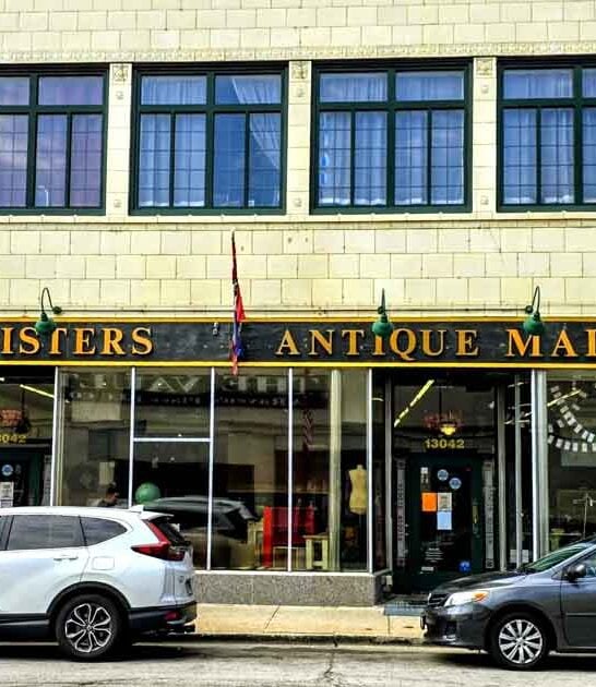 incredible illinois antique visitors ftr