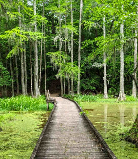 incredible park north carolina ftr