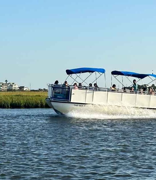 incredible south carolina experiences ftr