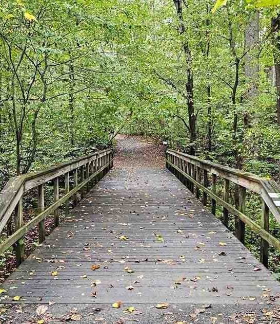 incredible state park maryland ftr