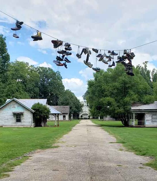 incredible things alabama lifelong ftr