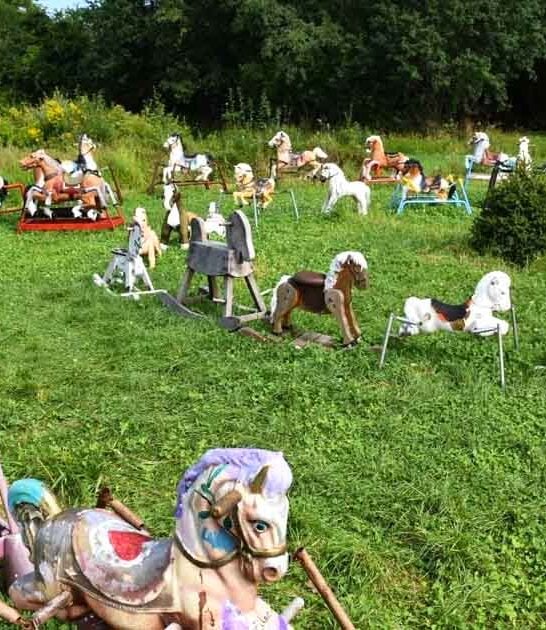 incredible things massachusetts lifelong ftr