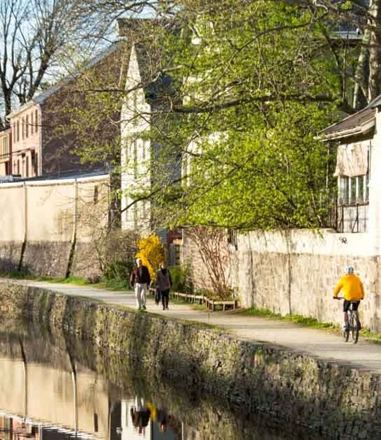 incredible town new jersey ftr