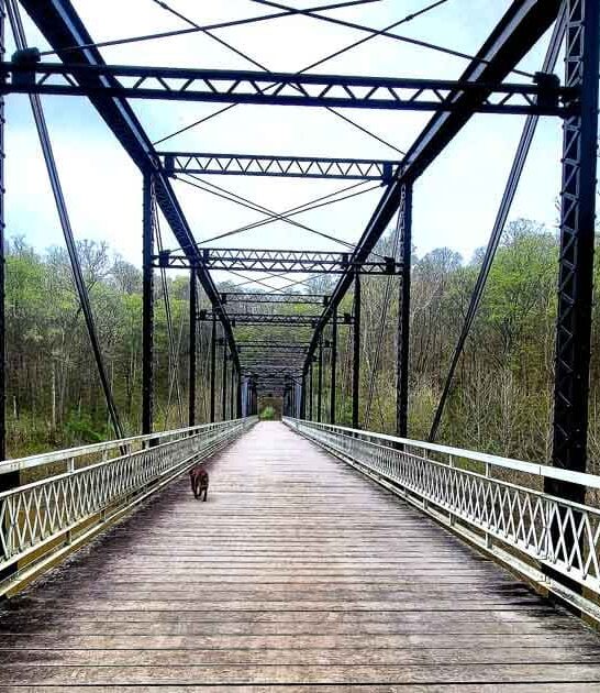 indiana amusement park fascinating ftr